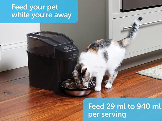 Best Cat Food Dispenser Automatic Feeding Timers - Best Home Appliance ...